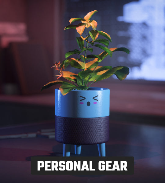 Hello Sunshine Surprised Planter - Star Citizen – The Impound